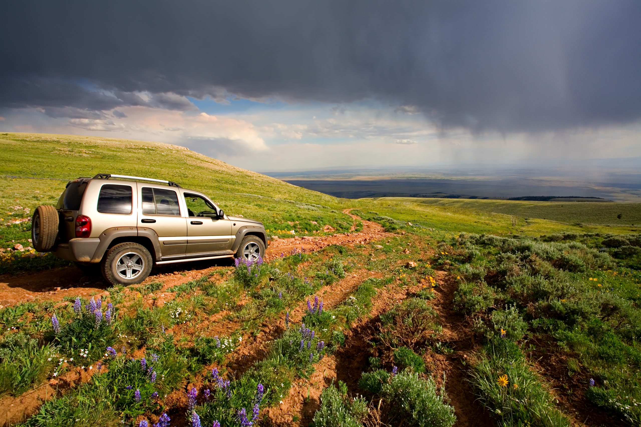 Buying a Used Vehicle - Park Side Credit Union